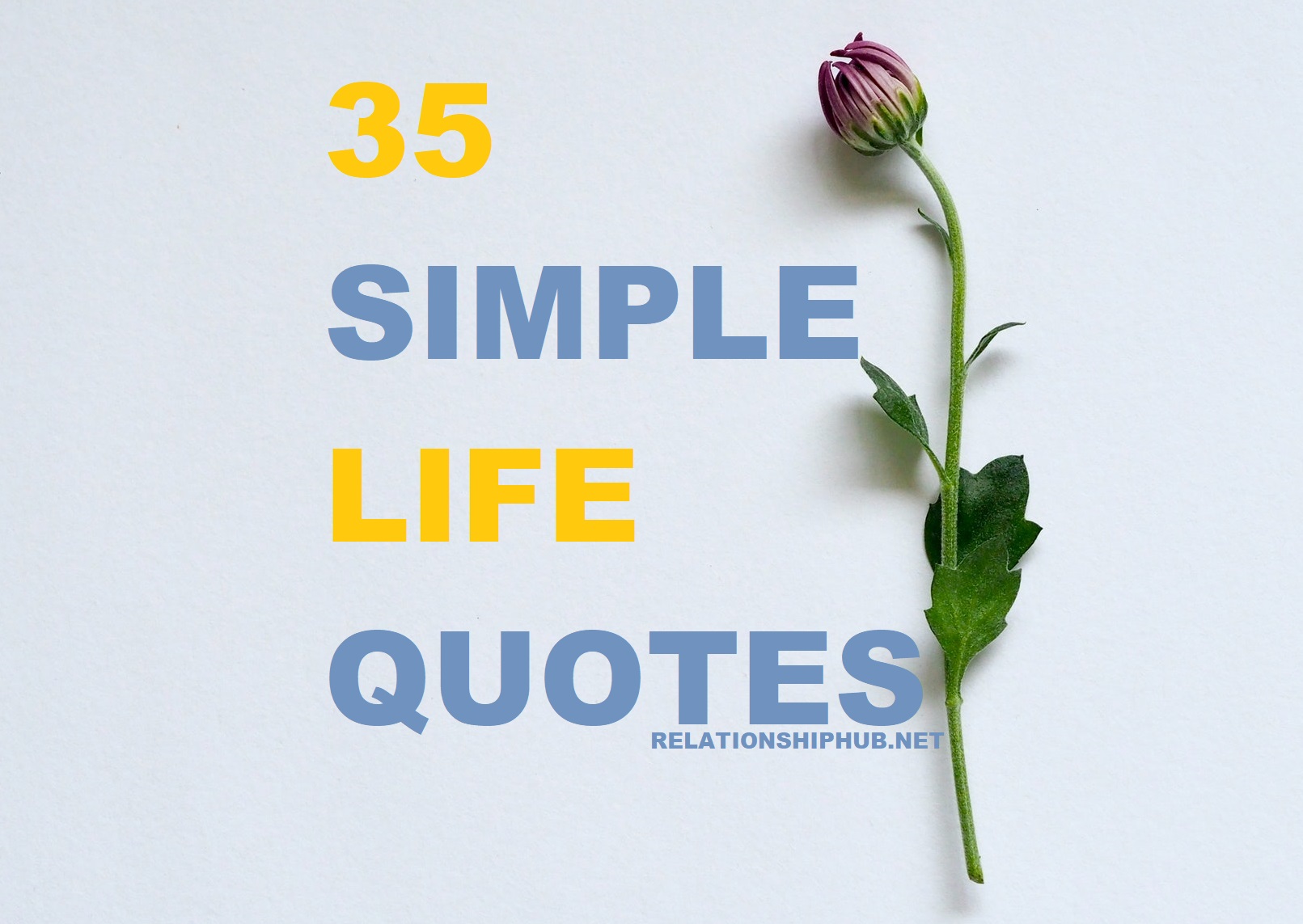 Quotes About Simple Life